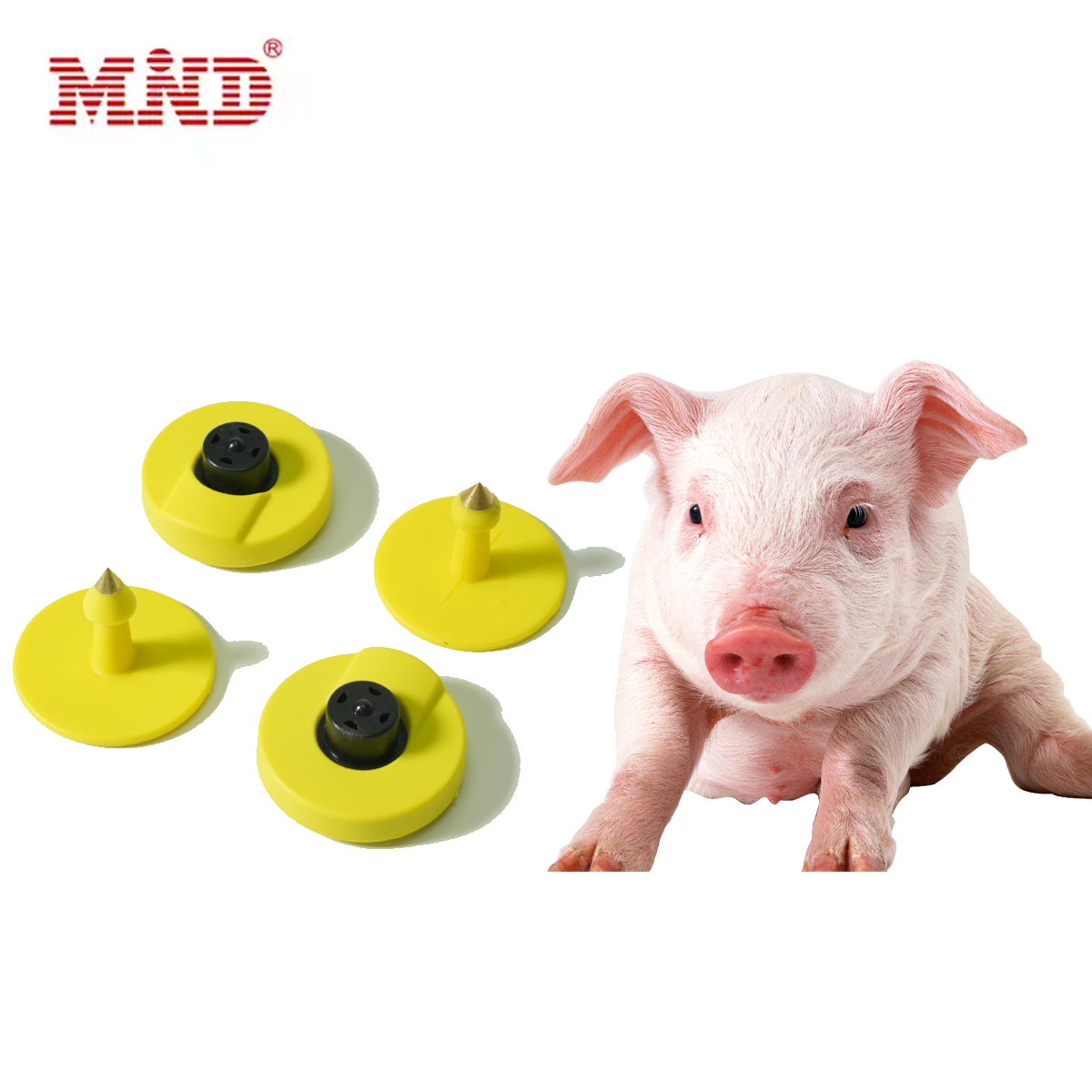 Livestock RFID NFC Barcode Animal ID Tracking Animal Ear Tag for Cattle ...