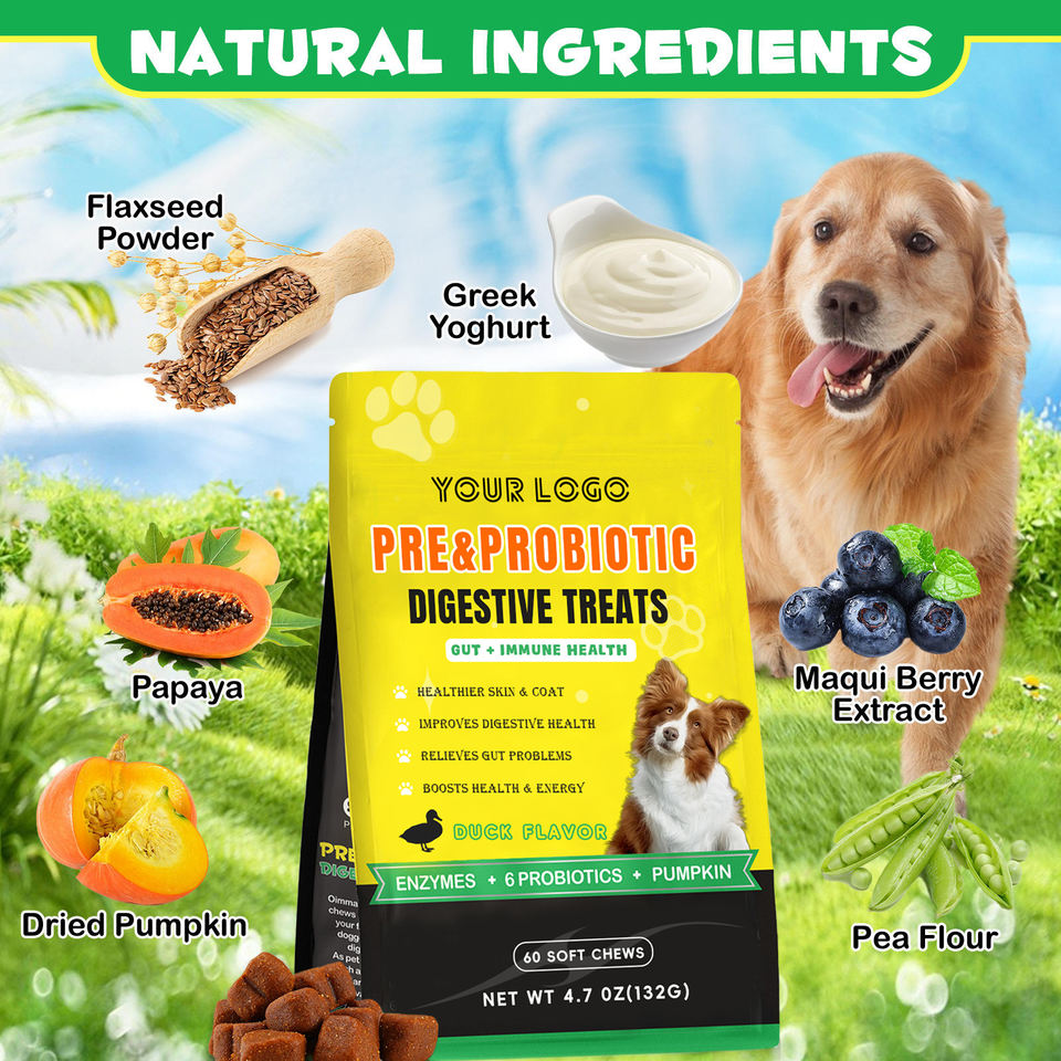 Probiotics Chewable Tablets for Dogs Probiotics and Probiotics ...