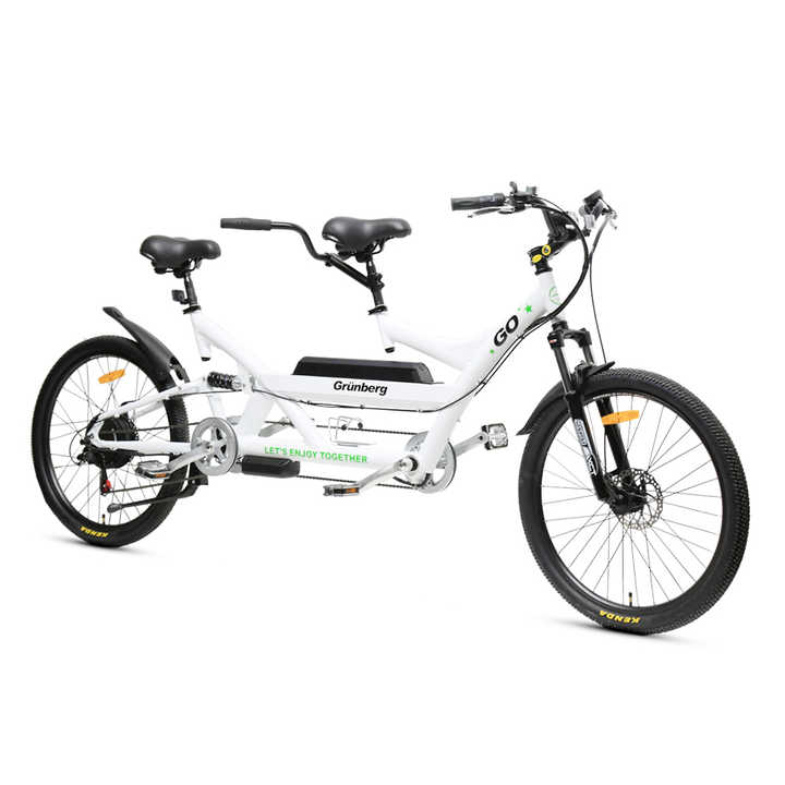 TXED 350W Two Person Electric Bicycle - City Leisure Ride