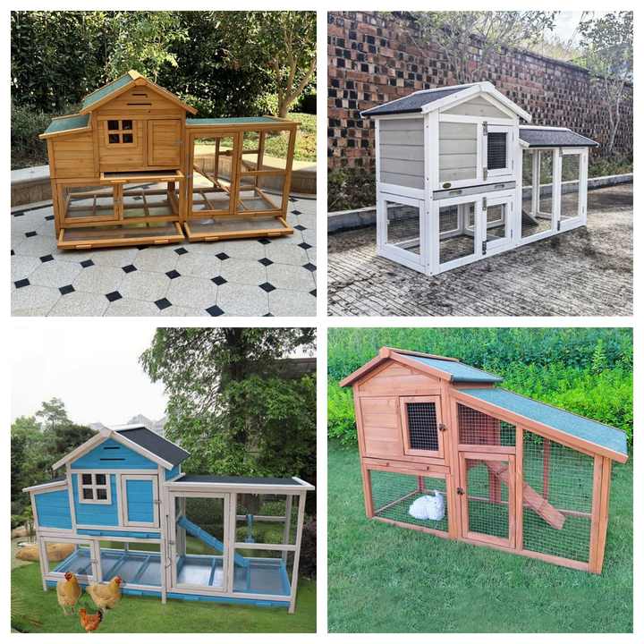Pigeon Pairing Cage - Sustainable Breeding Solutions