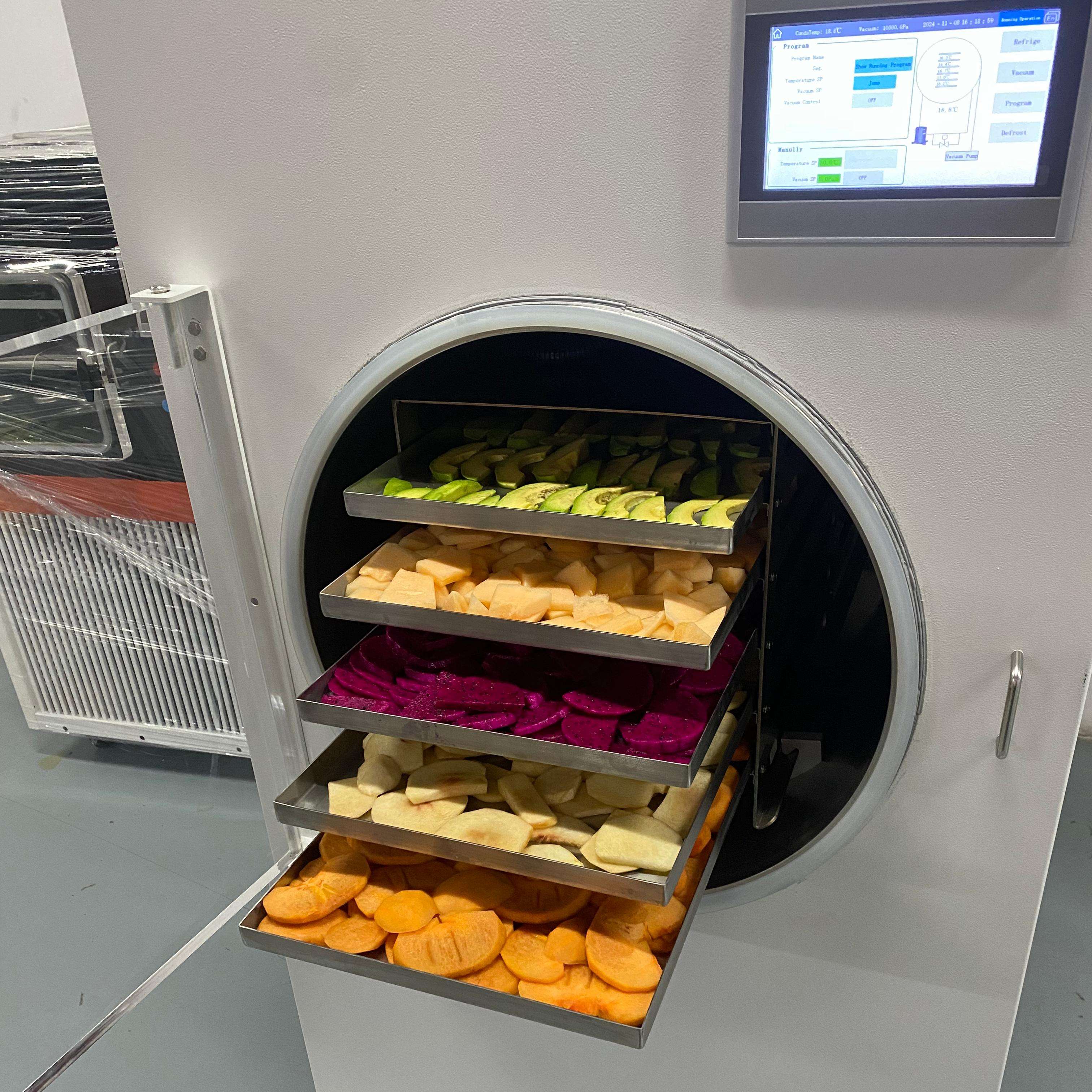 How to Choose the Best Small Freeze Dryer for Home Use