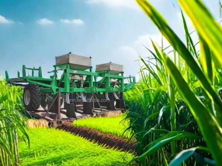 Hydraulic Sugar Cane Planting Machine - High Productivity