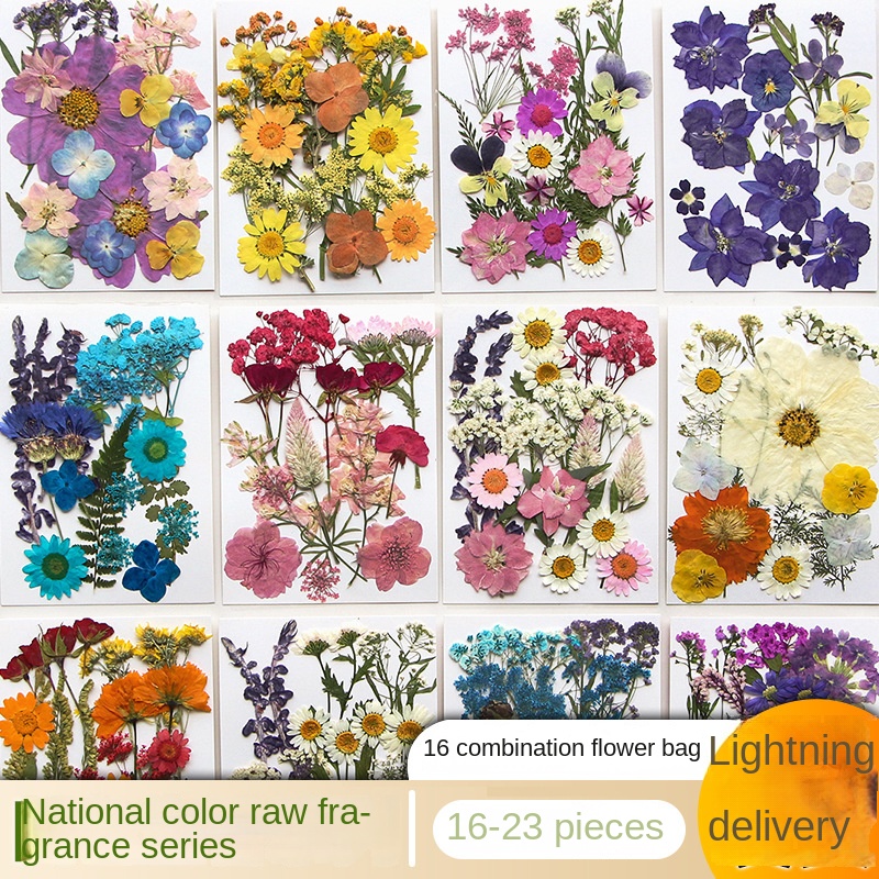 Dried Flowers in Bulk from Global Suppliers | Premium Quality ...