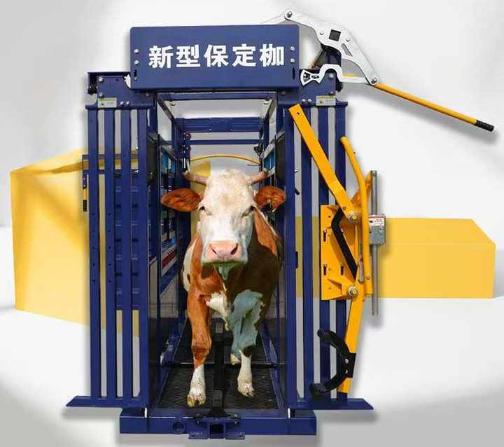 Galvanized Cattle Panel Squeeze Crush Cattle Handling Equipment With ...