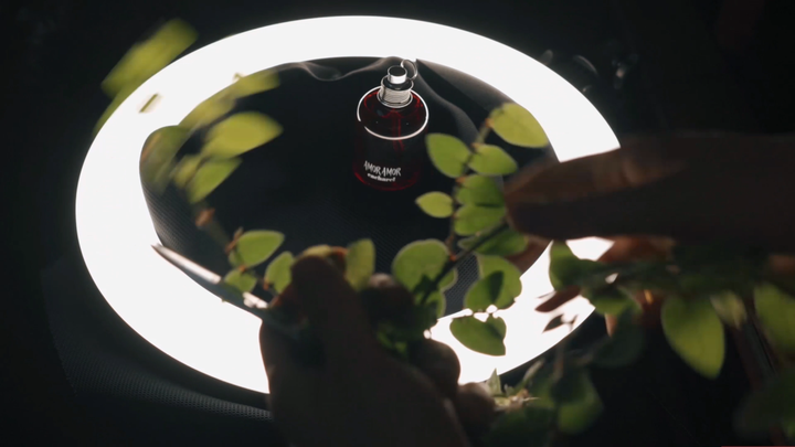 VISICO LED Ring Light - Perfect for Video Studio Shooting