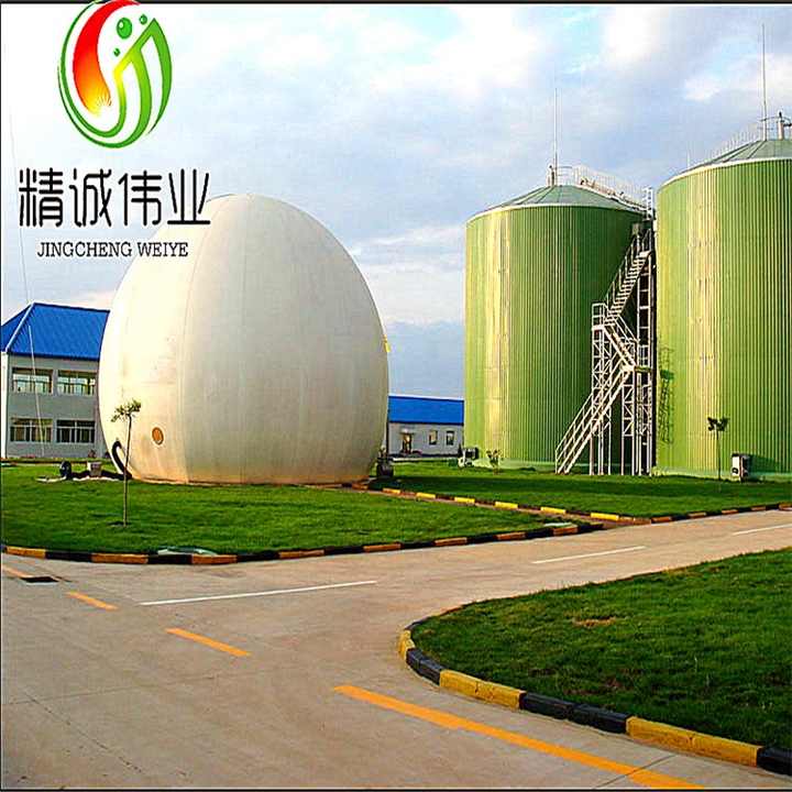 Specialized Automatic Poultry Chicken Manure Biogas Generator System ...