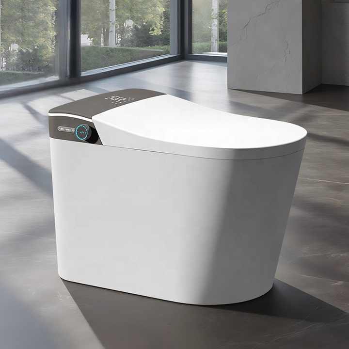 Luxury Intelligent Smart Toilet with Bidet & UV Sanitization