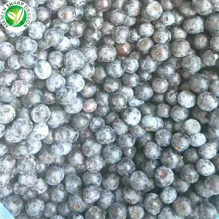 How to Choose the Best Halal Frozen Blueberries: A Complete Buying Guide