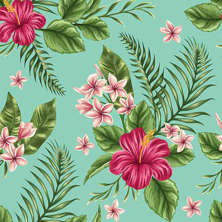 How to Choose Edible Buzz Buttons Flowers: Buying Guide & Tips