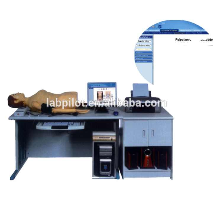Abdominal Auscultation And Palpation Manikin,Blood Pressure Measurement ...