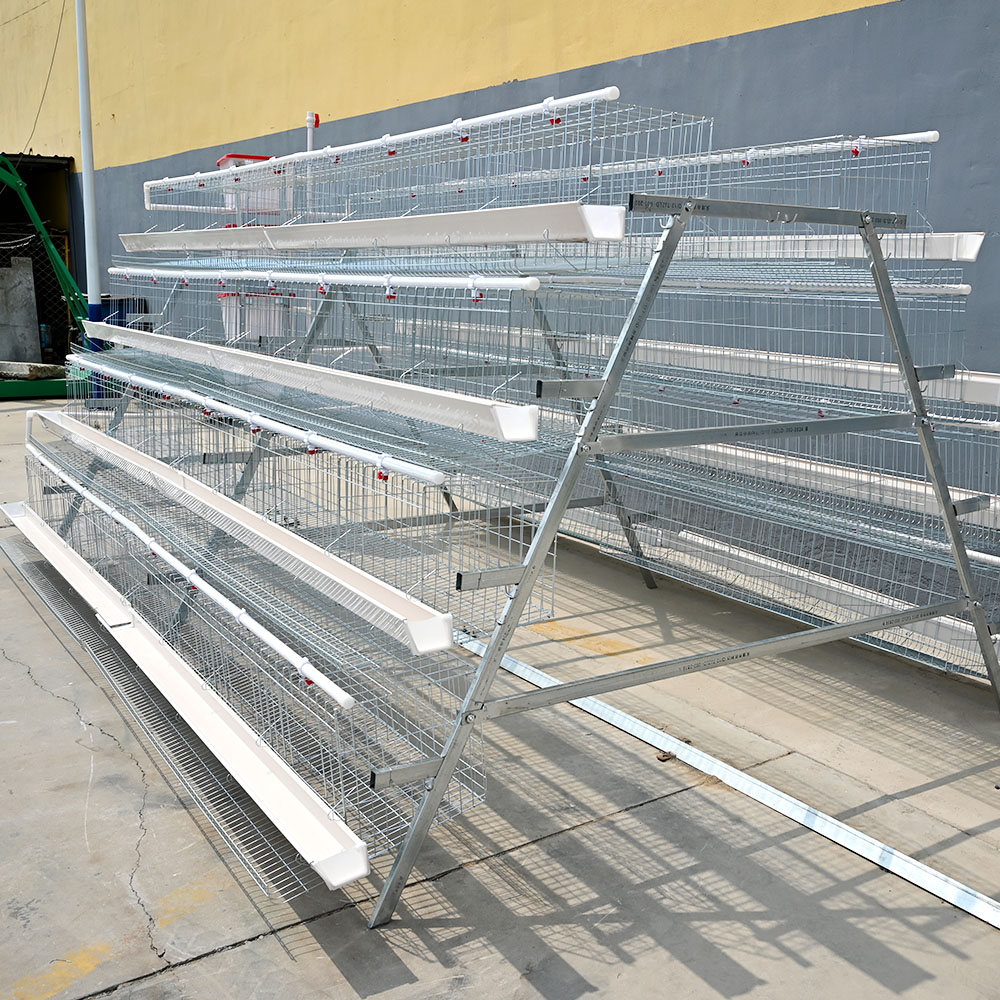 Durable and Efficient chicken breeding cage of broilers for Optimal ...