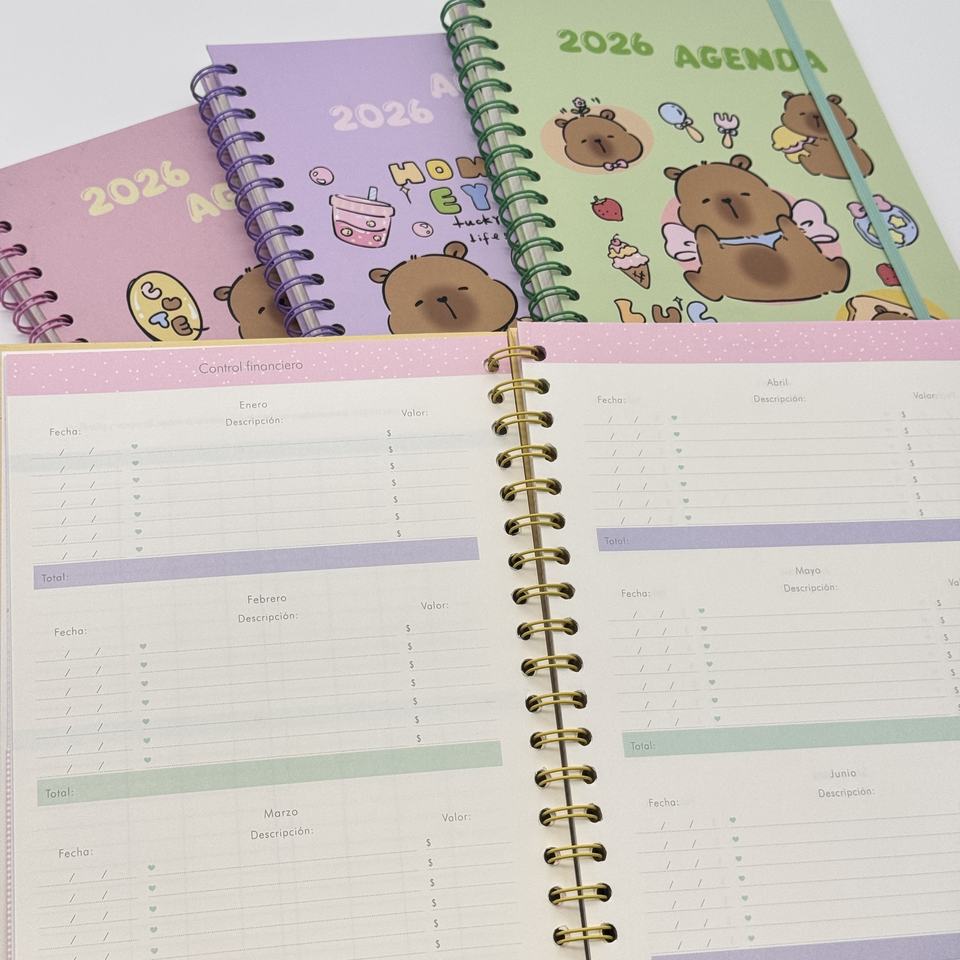 Kawaii Capybara B5 Diary Elastic Cartoon Spiral Notebooks for School ...