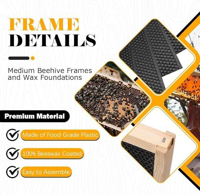 Witbee New Medium Beehive Frames with Food Grade Plastic Foundations 6 ...