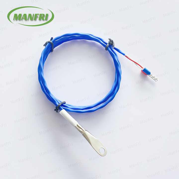 RTD PT100 Industrial Temperature Sensor Probe with 2-Wires Tinned ...