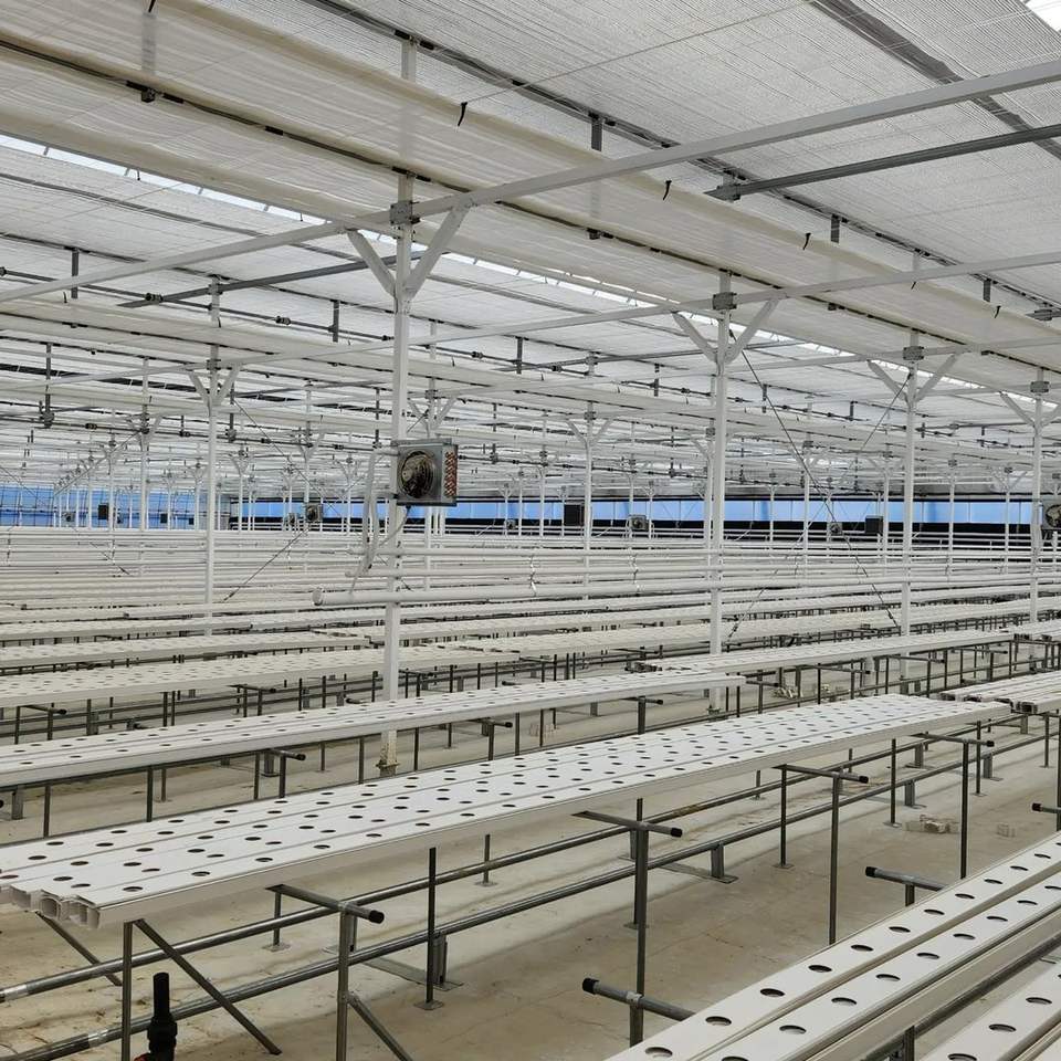 NFTチャネルPVCパイプ垂直水耕栽培システム農業温室用水耕栽培システム| Alibaba.com