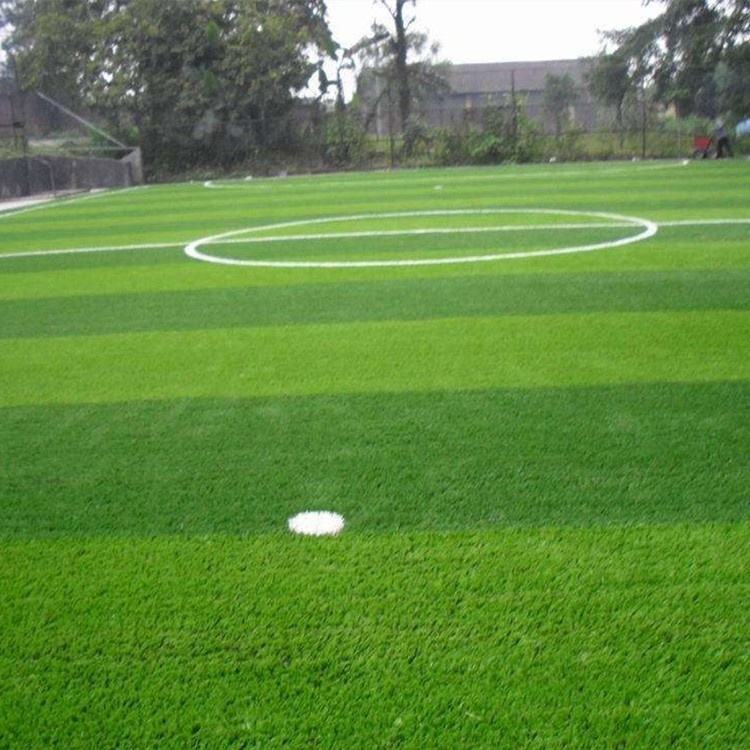 How to Choose the Best Grass Synthetic for Your Needs: A Complete ...