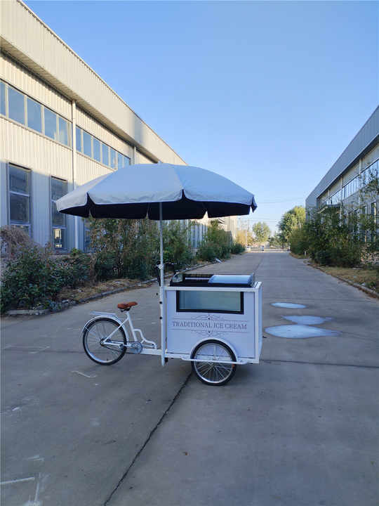 Ice Cream Tricycle with Freezer for Sale | Commercial Ice Cream Cart ...