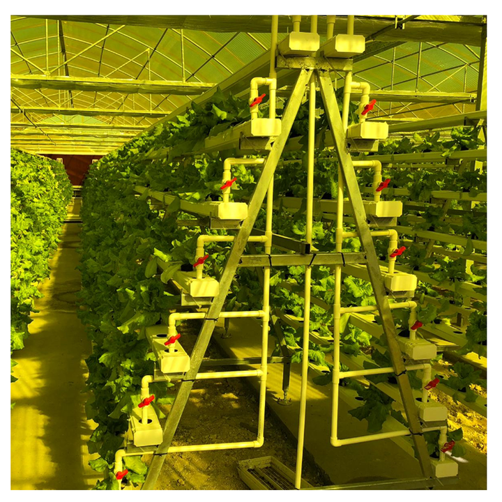 Greenhouse Hydroponics NFT Growing System for Strawberries