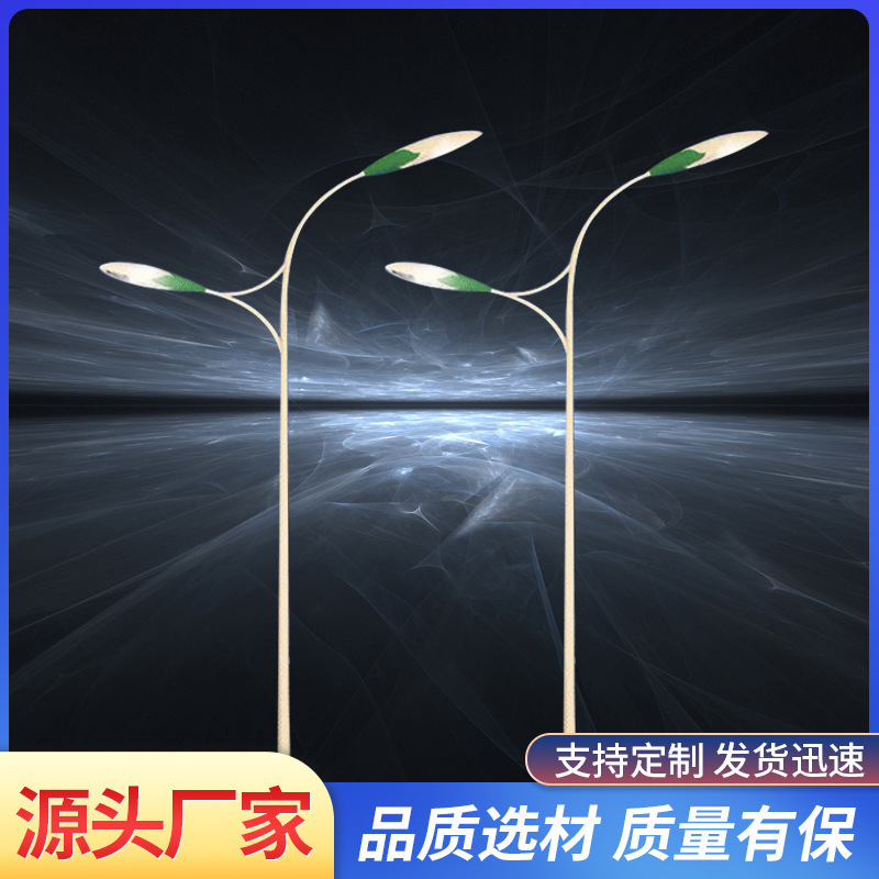 Double Arm Street Lighting Pole 2 - 15M Height, Galvanized Steel