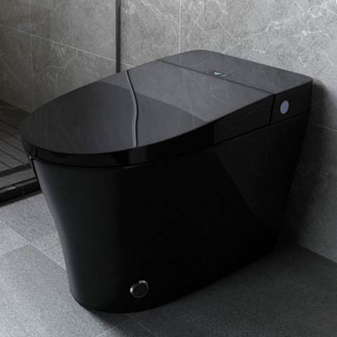 Smart Toilet - Back to Wall Mounted Ceramic Wc with Bidet