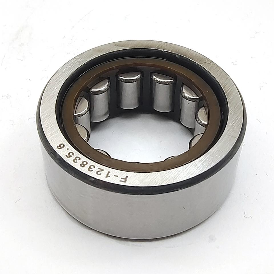 Rodamiento excéntrico F123835.6 para transmisión de potencia, acero