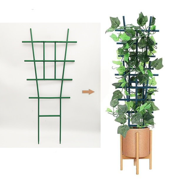 How to Choose the Best Tall Trellis for Your Garden: A Complete Buying ...