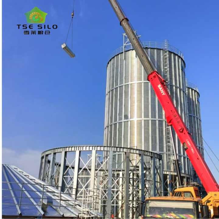 Galvanized Steel Grain Silo For Turnkey Project With Handling Equipment ...