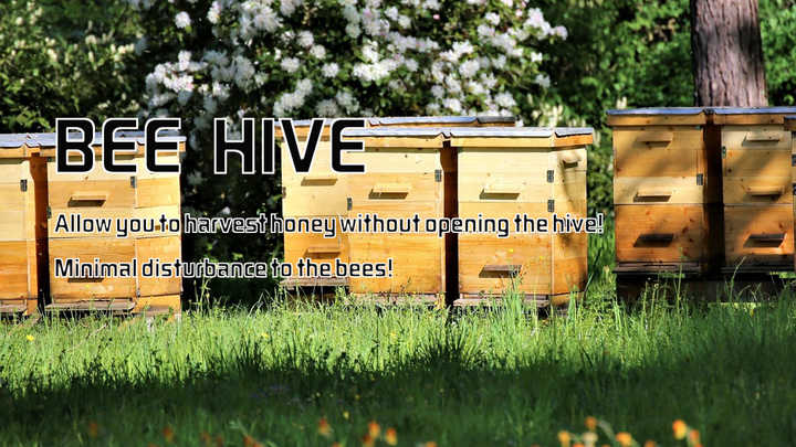 Pine or Fir Wood Langstroth Beehive - Quality & Durability