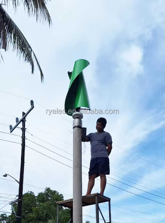 RY Small Wind Turbine Power Generation Free Energy Vertical Axis ...
