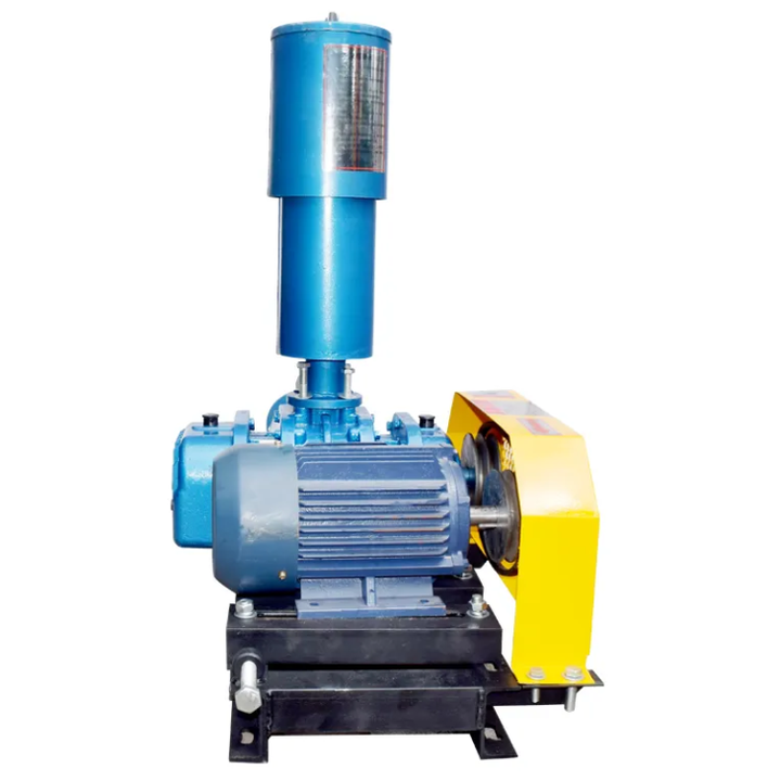 High-Efficiency Roots Blower Vacuum Pump with Cast Iron Blades DC ...