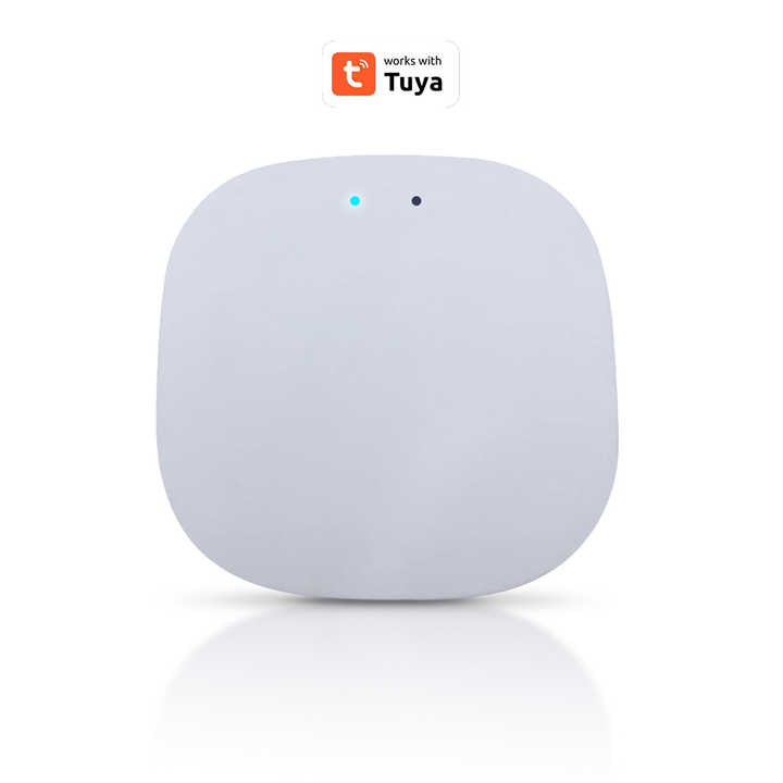 Smart Life APP BLE Gateway Hub - Smart SIG Mesh Wifi Control