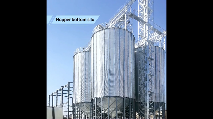 Grain Silo Storage Solutions: 100-300 Tons Capacity Steel Silos for ...