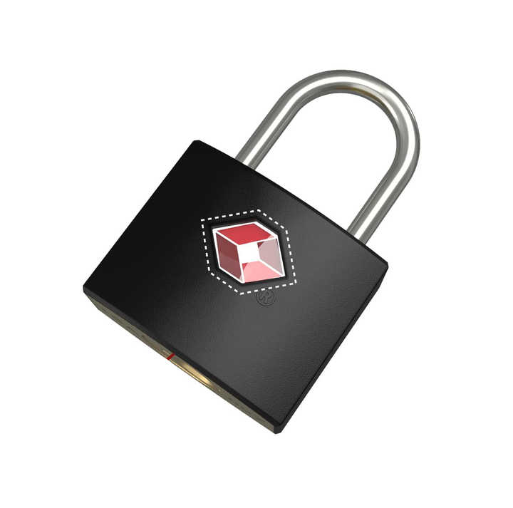 TSA Brass Luggage Locks with Keys Anti-Theft Padlock for Suitcases Gym ...