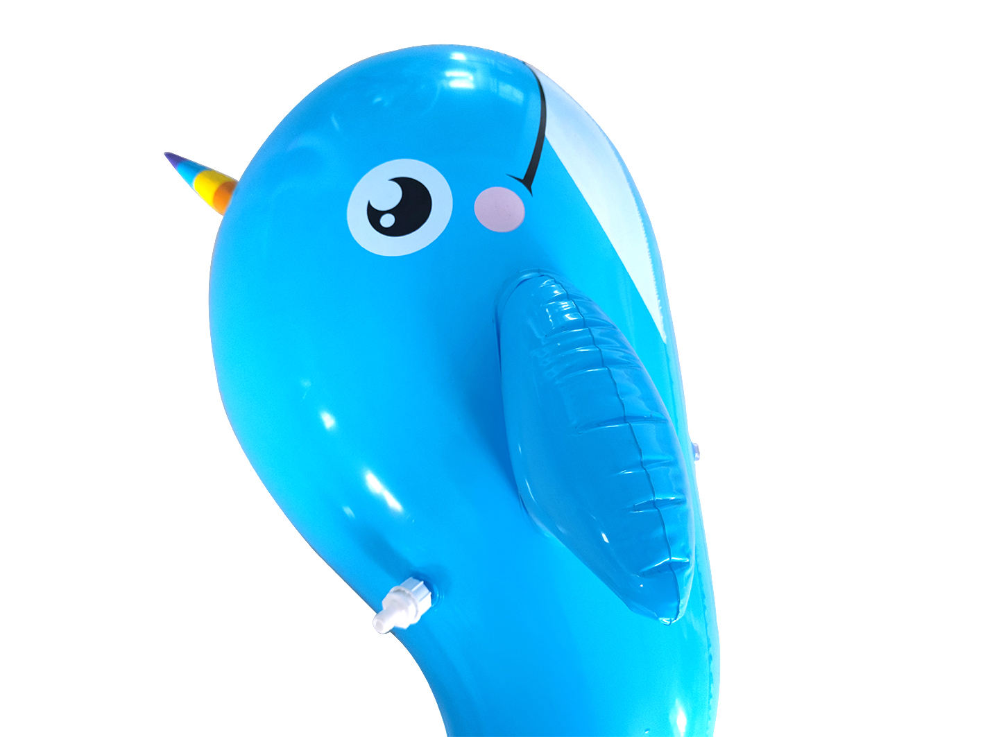 How to Choose the Best Inflatable PVC Whale for Your Needs