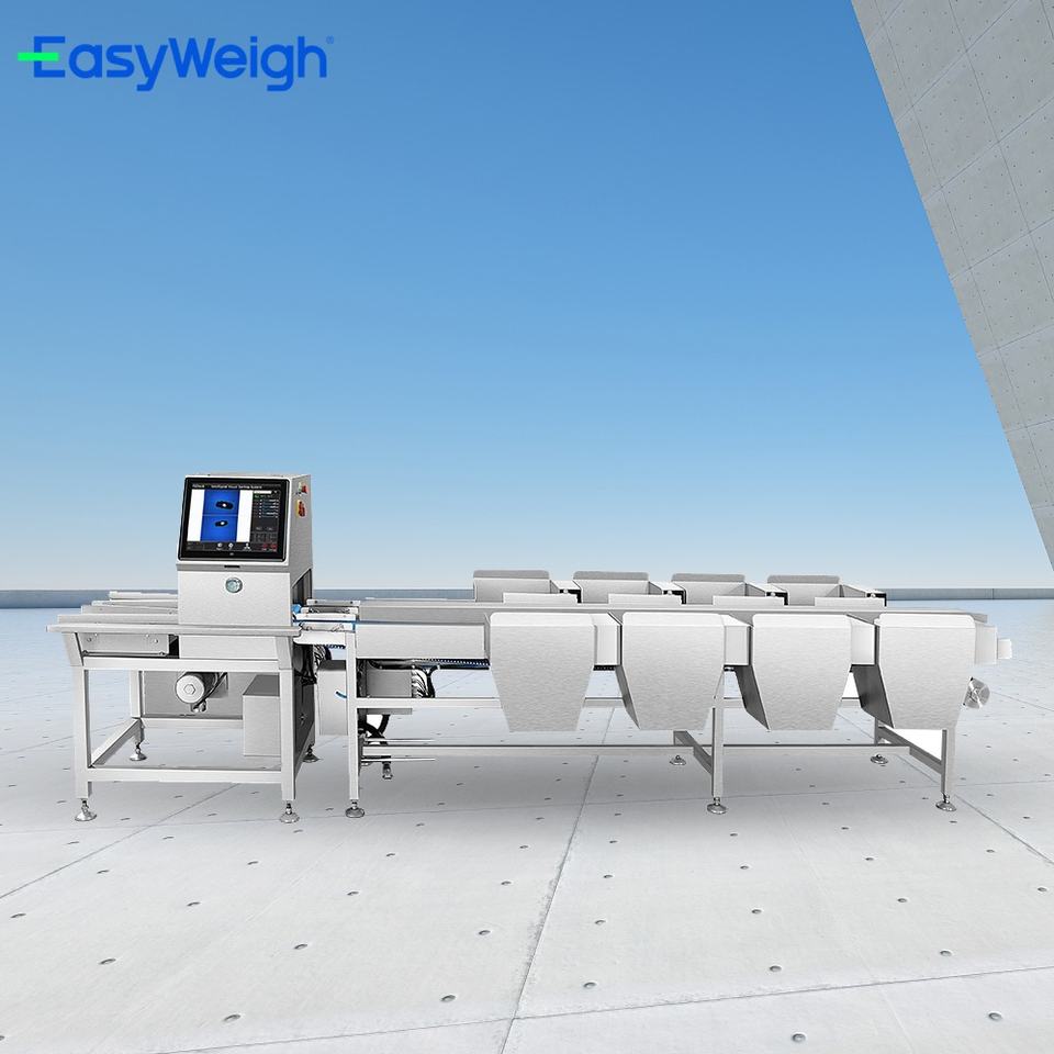 High Configuration and Stability Fruit and Vegetable High Precision ...