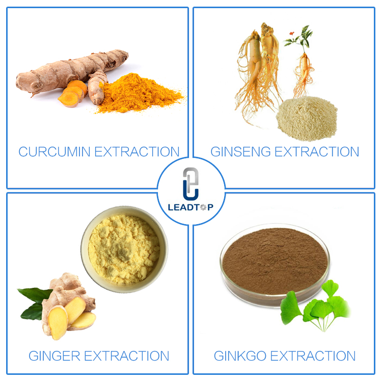 China Automatic Ginger Oil Extraction Machine Essential Oil Extraction ...