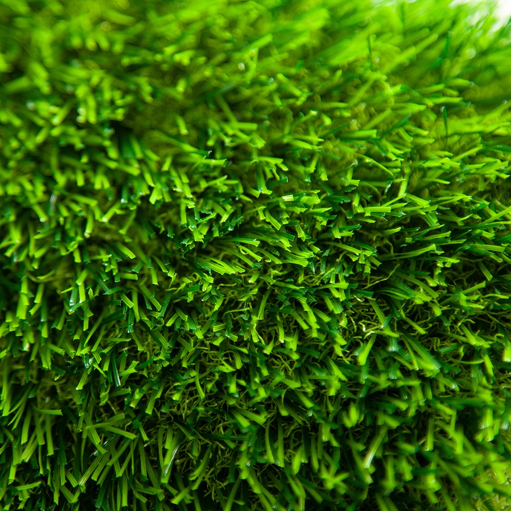 How to Choose the Best Turf Roll for Your Project: A Complete Buying Guide