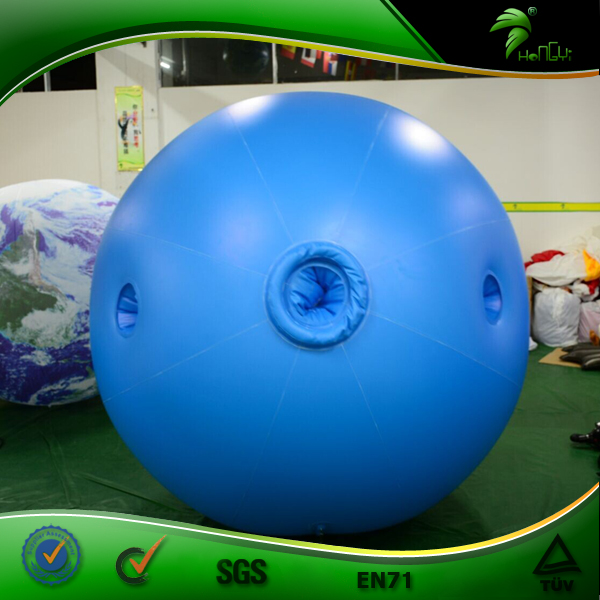 PVC Blueberry Inflation Suits - Fun & Customizable