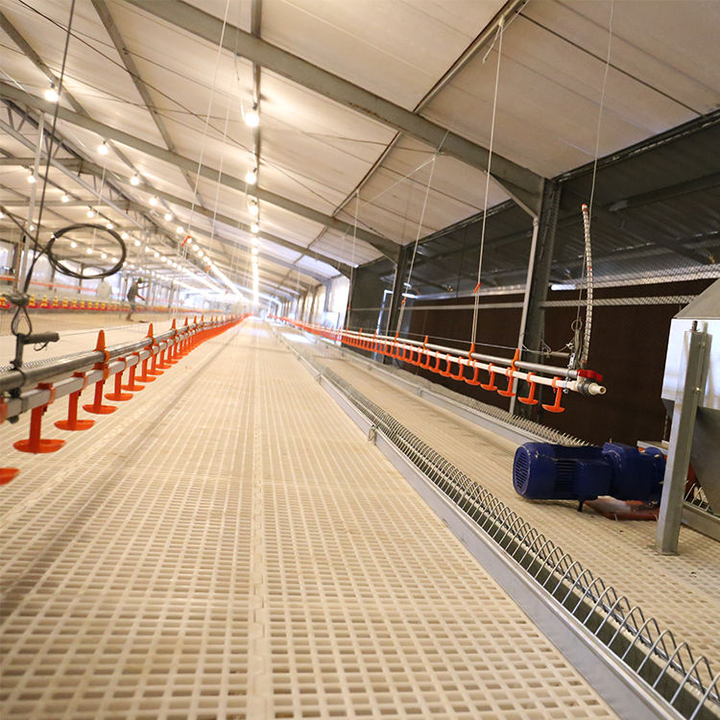 Galvanized Chicken Layer Poultry Cage Kit Poultry House Chicken Farm ...