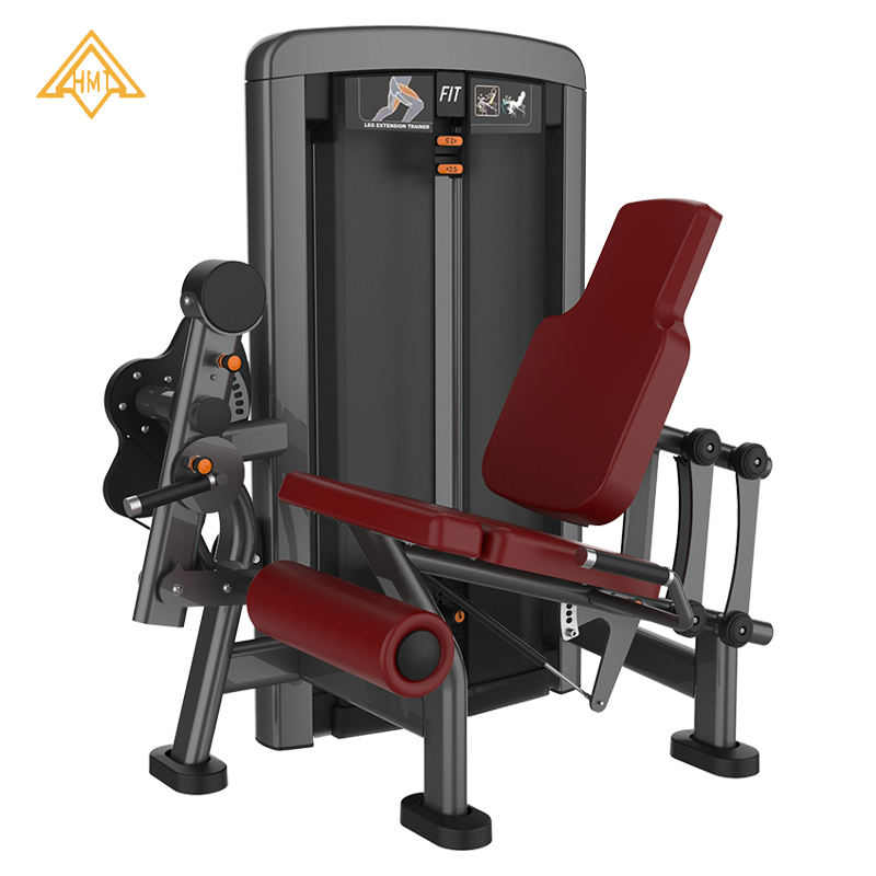 Seated Leg Extension & Curl Machine Steel Commercial Use Pin Load ...
