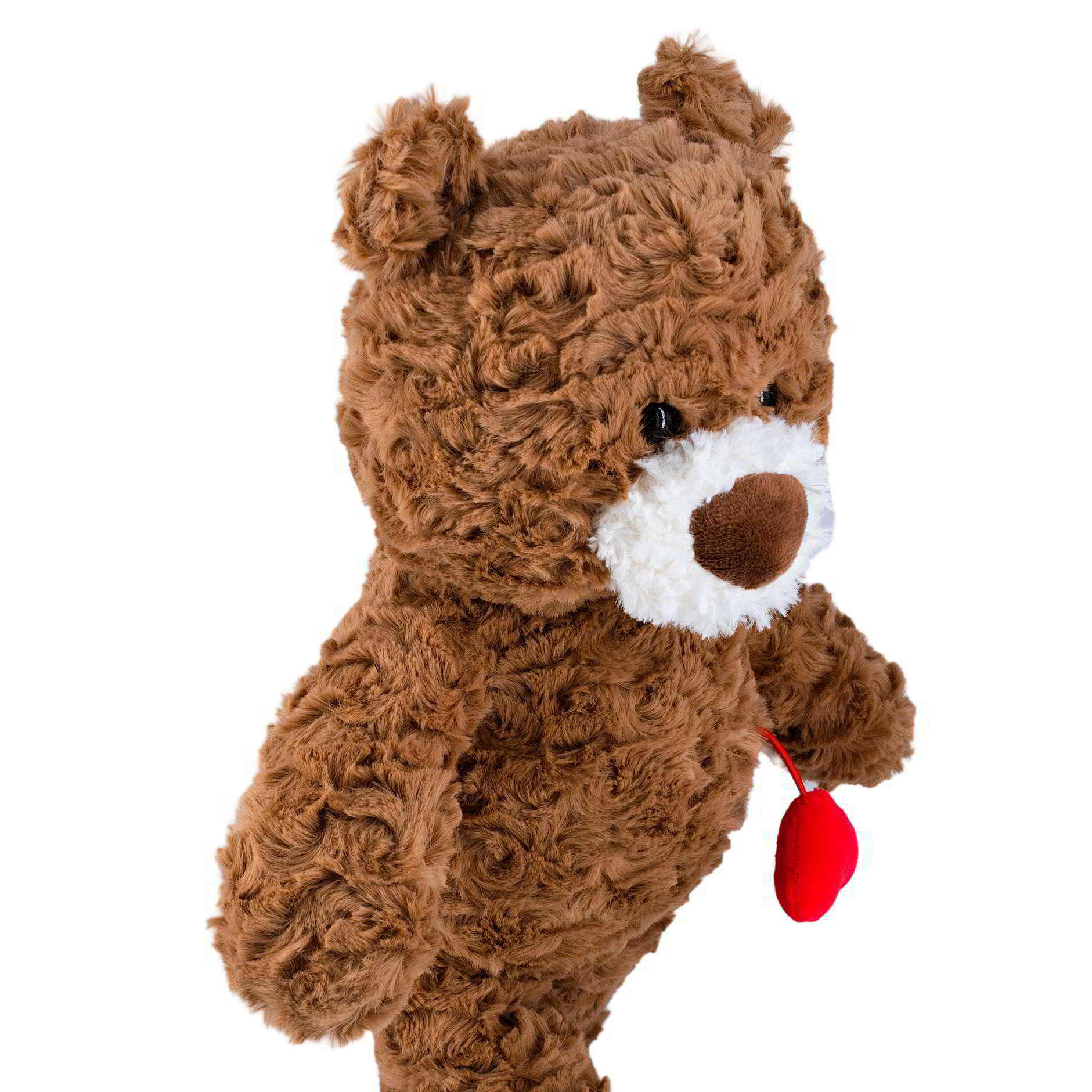 How to Choose the Best Teddy Love: Buying Guide for 2026