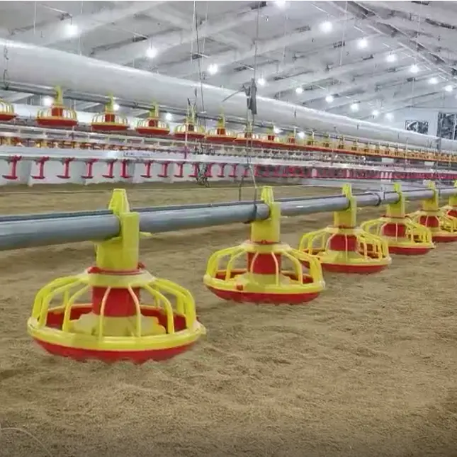 30000 Poultry Complete Large Broilers Chicken Shed System
