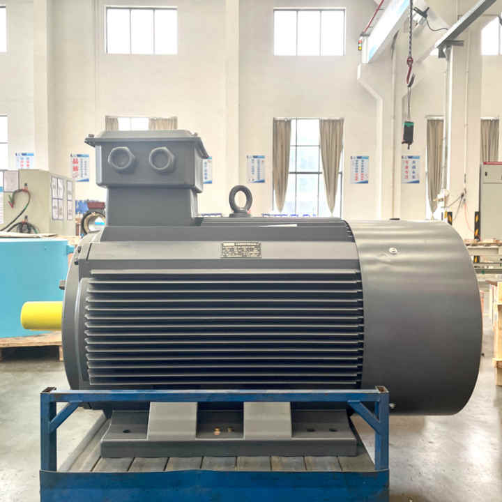230V 25hp Electric Motorinas 50kw 220V High Voltage Motor