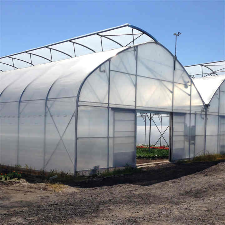 Acenter Greenhouse - High Tunnels for Tomato Plant Farming