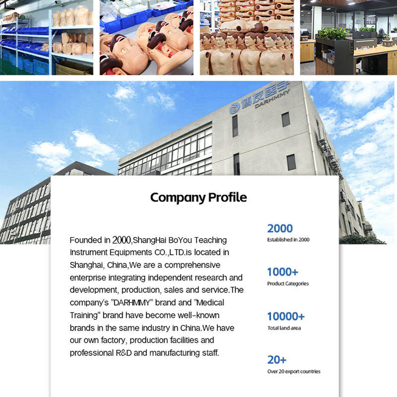 DARHMMY Professional Diabetic Foot Teaching Model - Displays Graded 1-5 ...