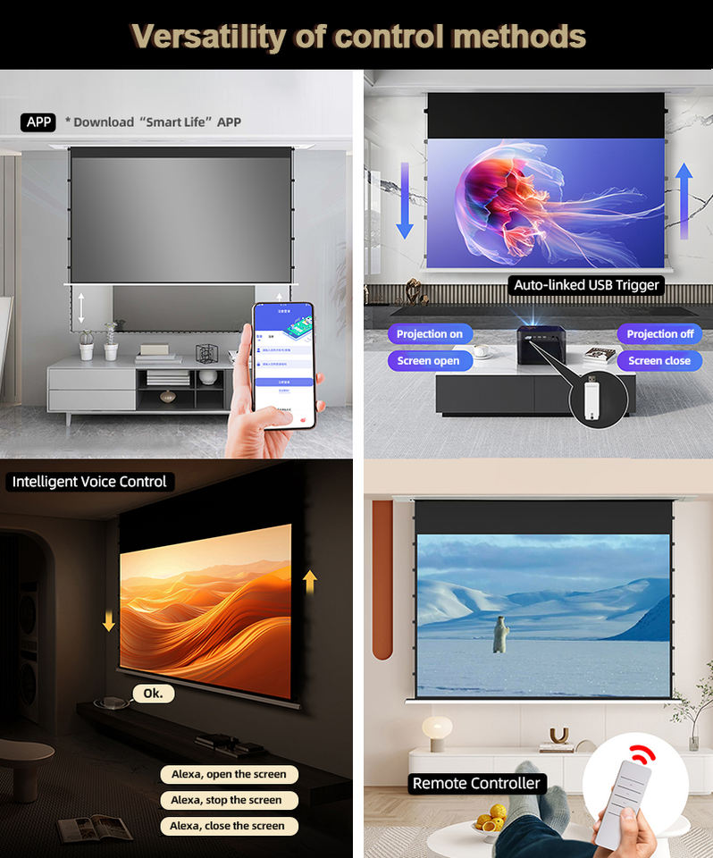 150 Inch 16:9 Electric Concealed Hidden In-ceiling Recessed Projection ...