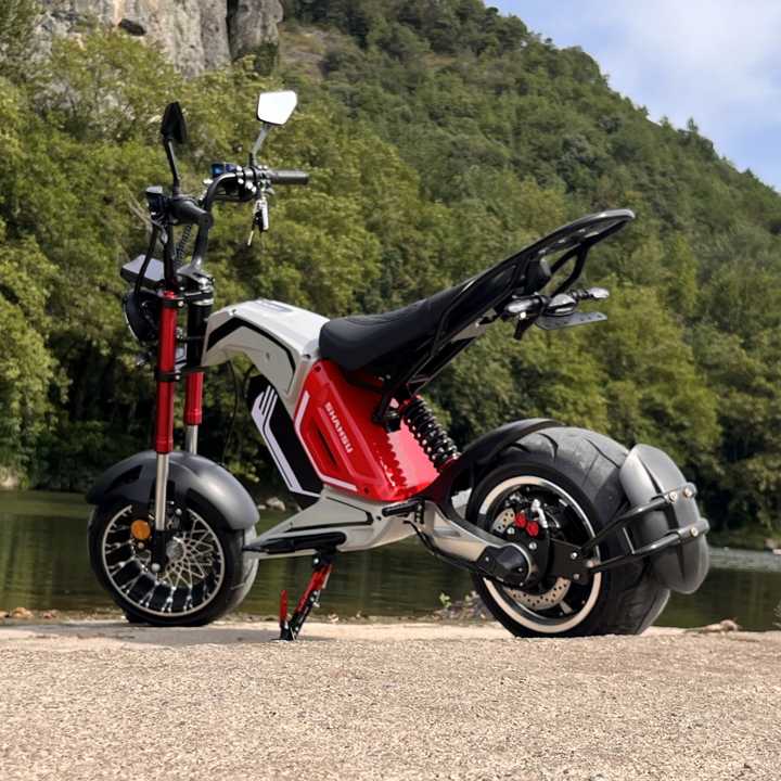 City Coco Scuter Electric Chopper Bike E Scooter 12 Inch