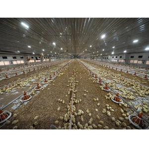 Sturdy Spacious poultry breeder farm design layout for Varied Animals ...