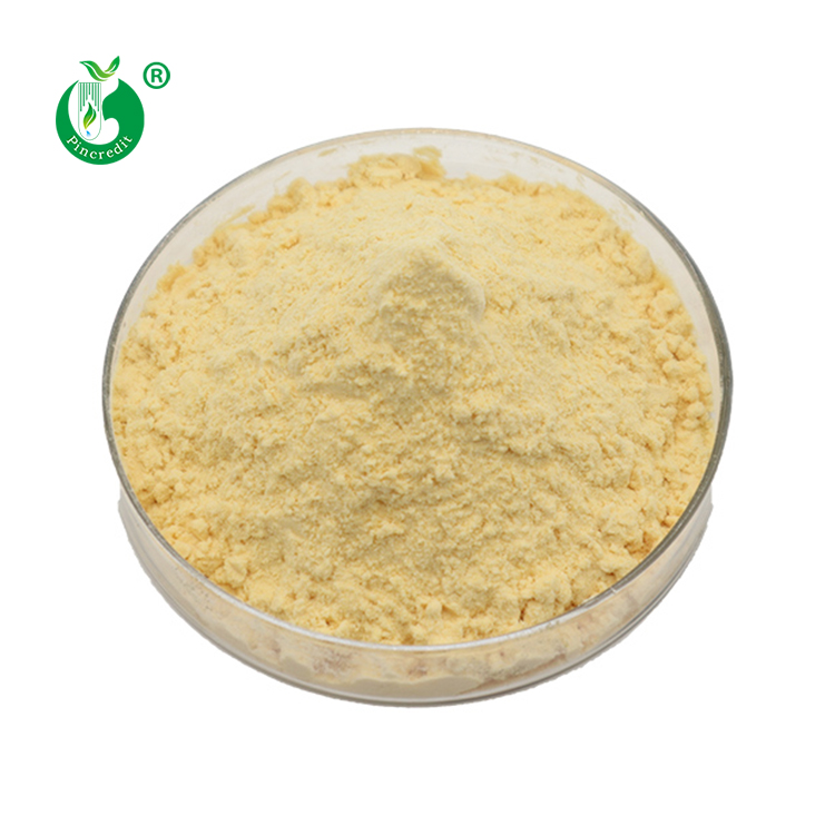 How to Choose Organic Passion Fruit Powder: A Complete Buyer's Guide