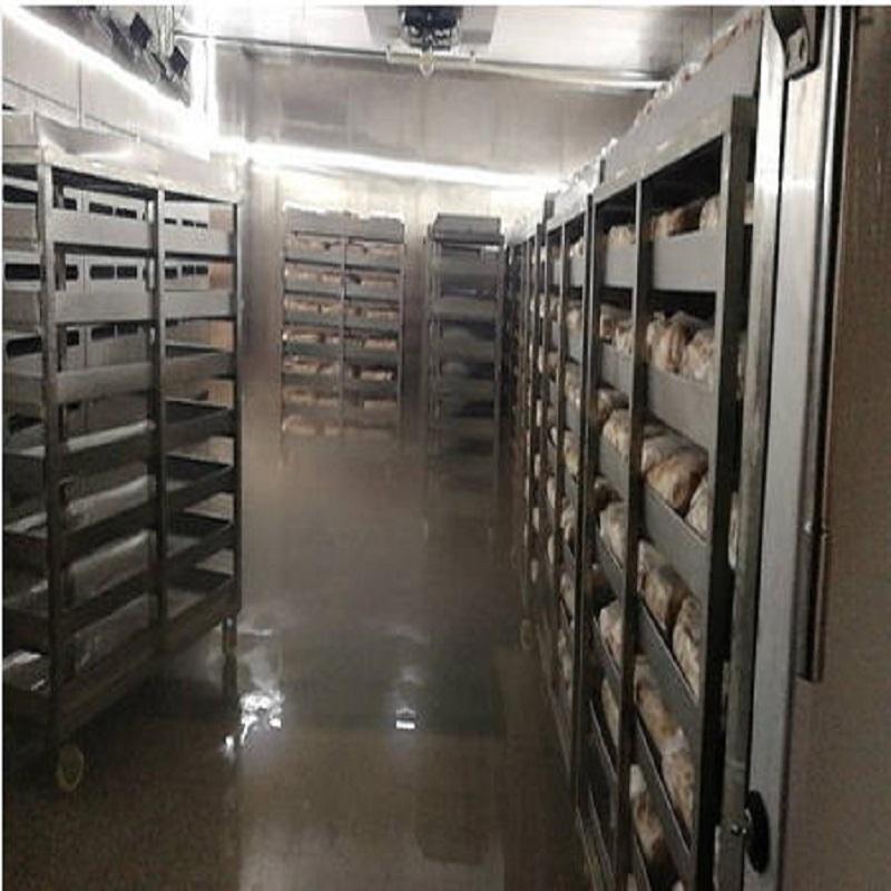 Efficient Frozen Meat Thawing Room - HONYO Defrosting Equipment